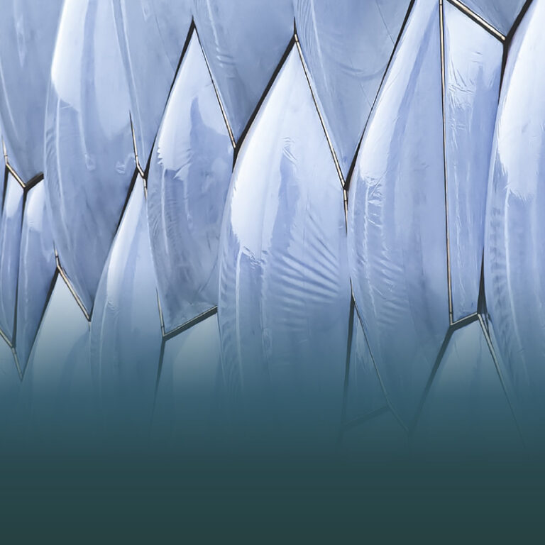 Solutions Cidelsa Pioneer In Textile Architecture In America